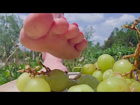 Grapes anyone?! 😘