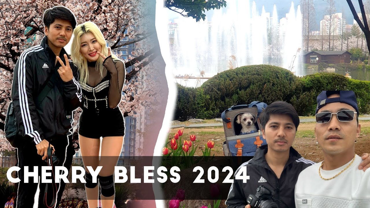cherry bless 2024 vlog in yeonji park! kimhe! south korea! - YouTube