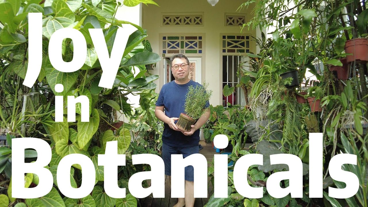 🇸🇬 Joy in Botanicals - how to make natural homemade herbal products ...