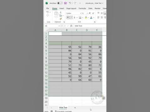 Excel Trick to Hide Text - YouTube