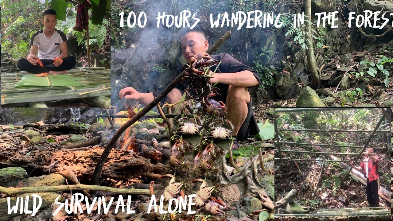 full video 4 days living alone in the wild, this is how I can survive ...