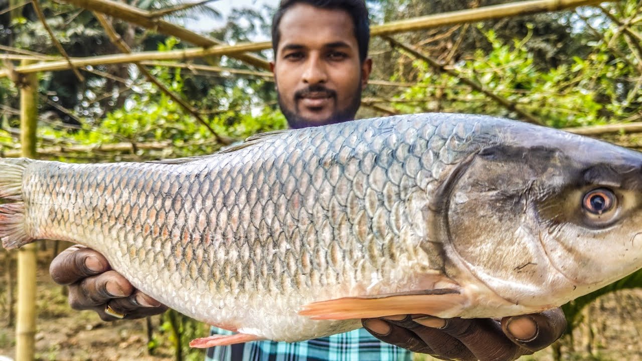 4.5 Kg Big Fish Recipe Cooking | Rui Fish Cutting And Cooking in ...