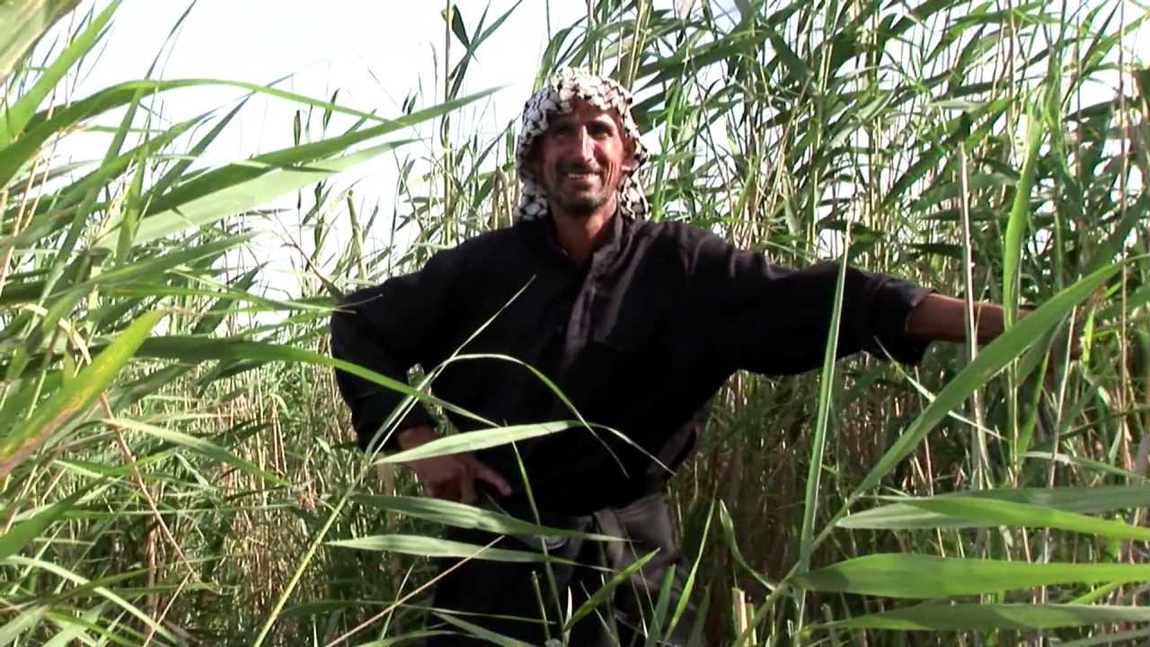 Marsh Arabs of Southern Iraq - YouTube