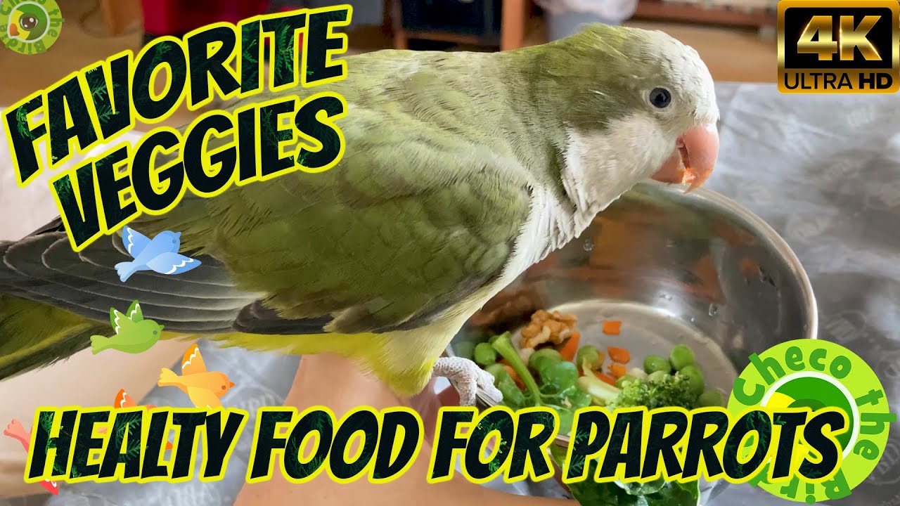 Healthy veggies for parrots - Checo's most favorite vegetable foods ...