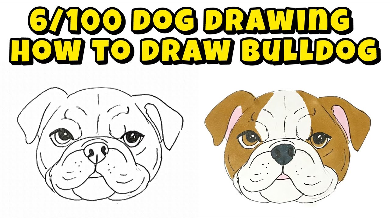 How to Draw Bulldog Step By Step – Easy 6/100 Dog Drawing Guide for ...