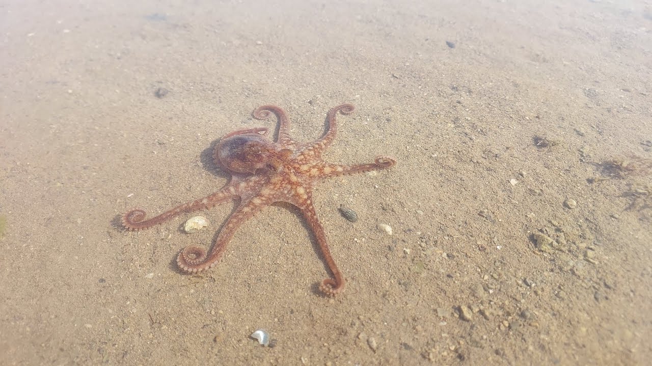 Narara Island - Marine National Park - YouTube