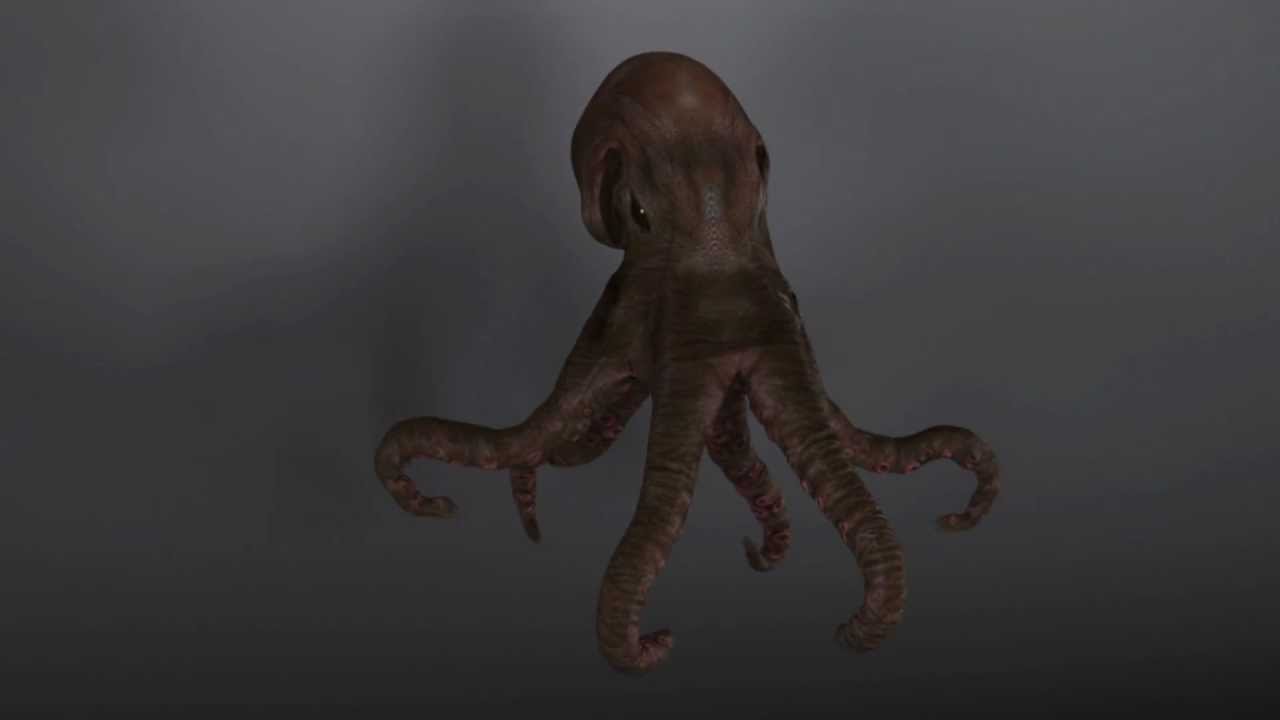 animation octopus - YouTube