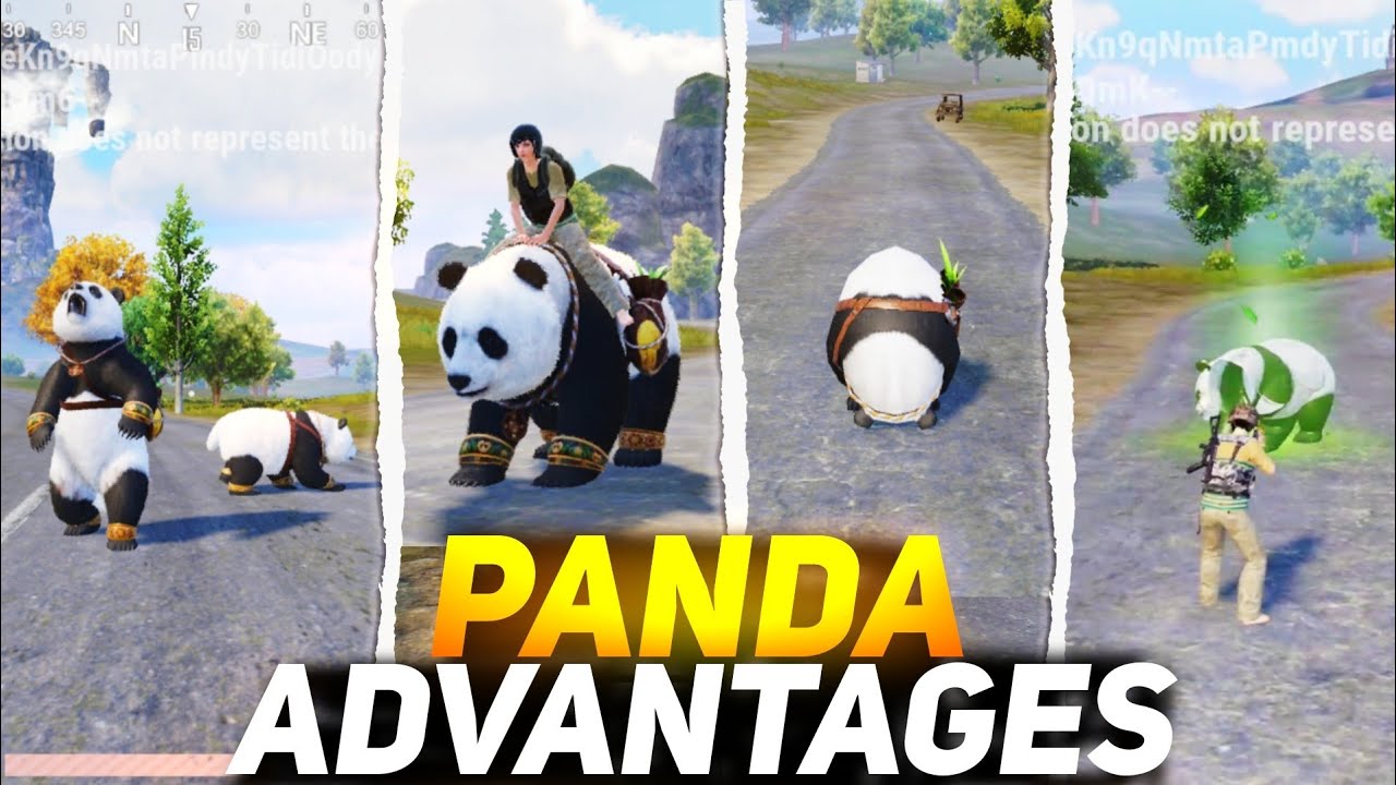 🥵 This 3.6 Update YOU CAN KILL ENEMIES WITH PANDA | How Find Pandas In ...