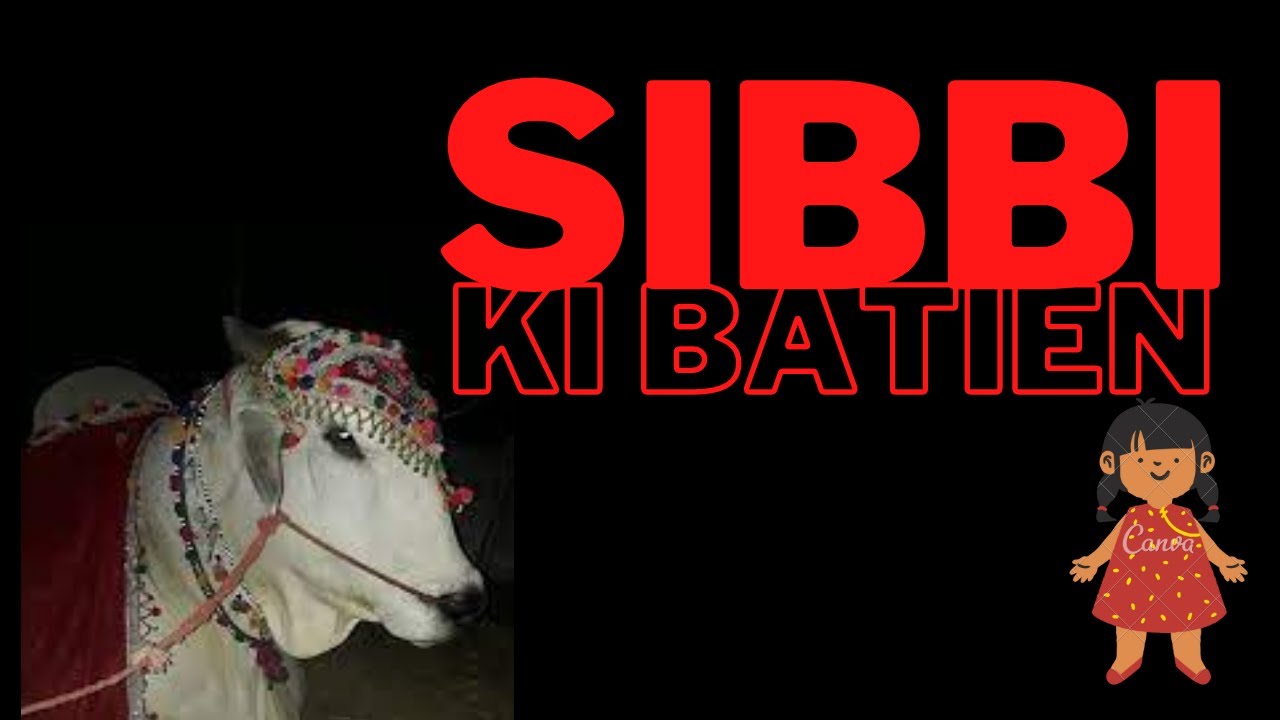 Minaar e Pakistan vs Sibbi | sibbi ki batien | secret conversation ...