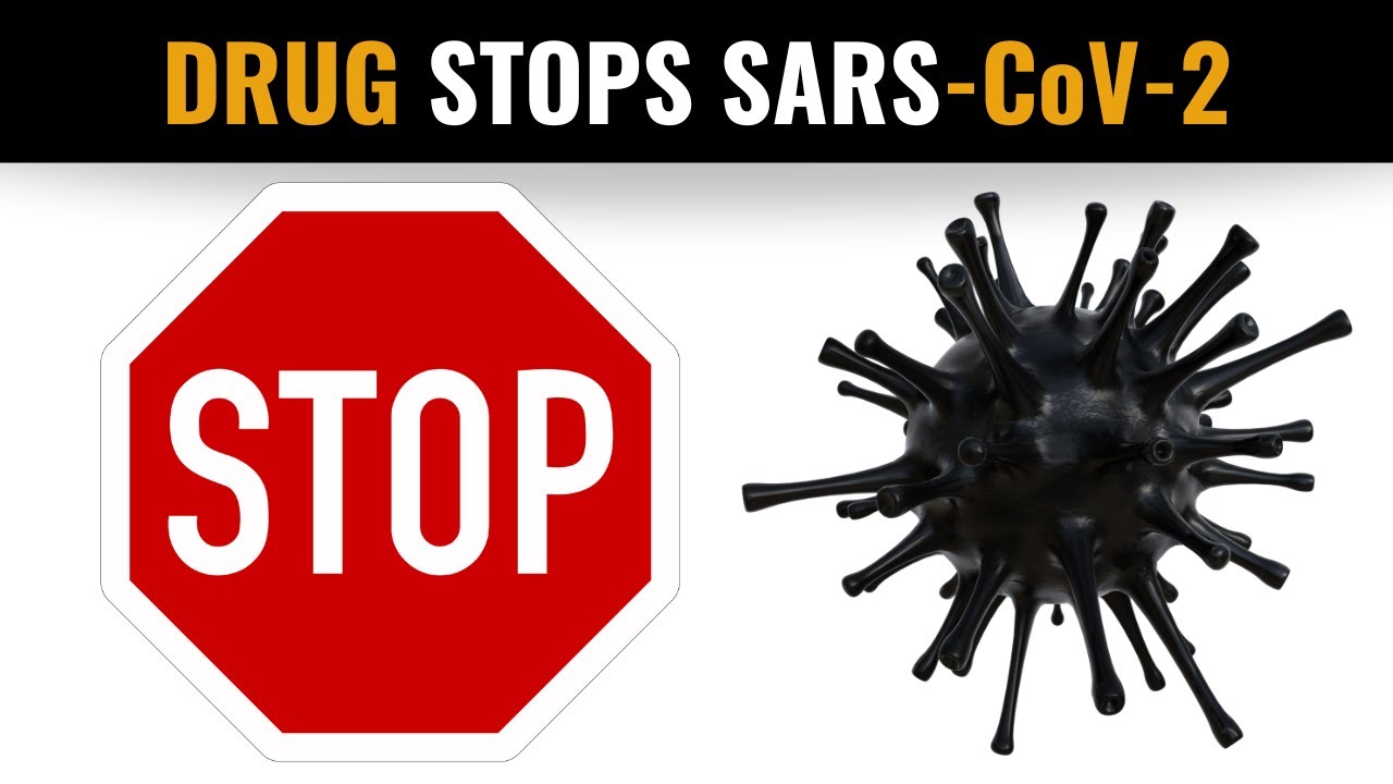 3D Animation: Scientists Develop SARS-CoV-2 Inhibitor that Blocks Viral ...