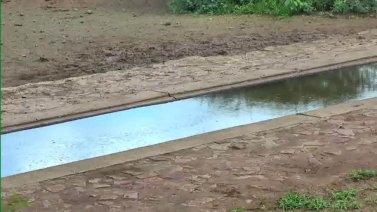 Satara Cams Live Stream - YouTube