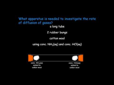 03 Rate of diffusion CIE IGCSE 0620 Topic 1