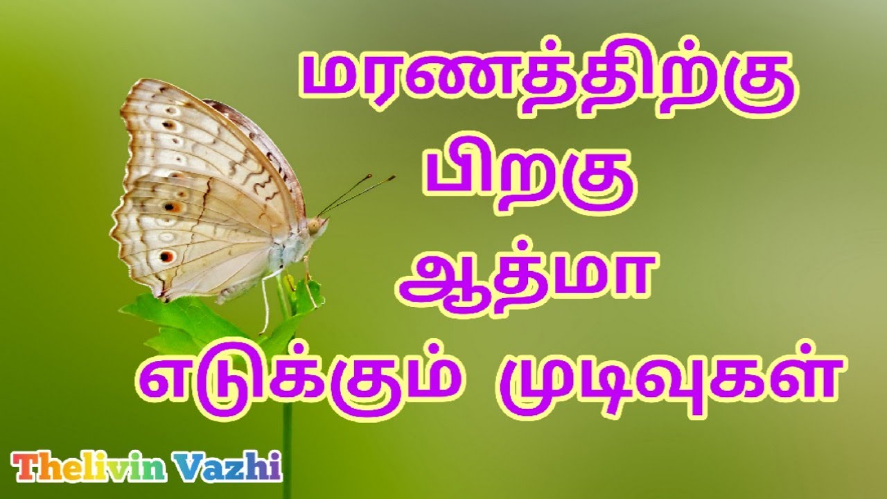 Death in Tamil PART 3 - Decisions taken by Soul after Death | Spiritual ...