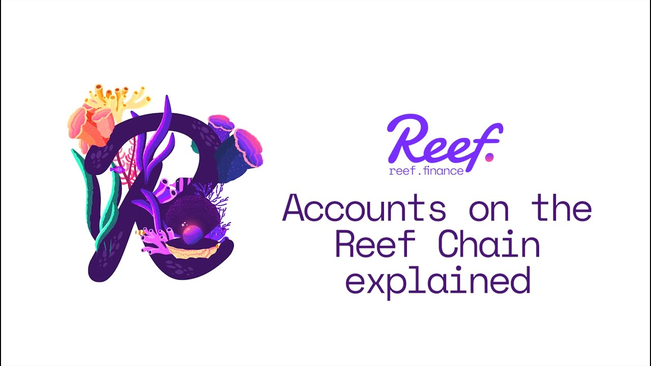 Accounts on the Reef Chain Explained | Reef Tutorials - YouTube