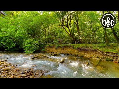 Bir dağ nehrinin beyaz gürültüsü. Rahatlama ve derin uyku için 4K'da 12 saat.