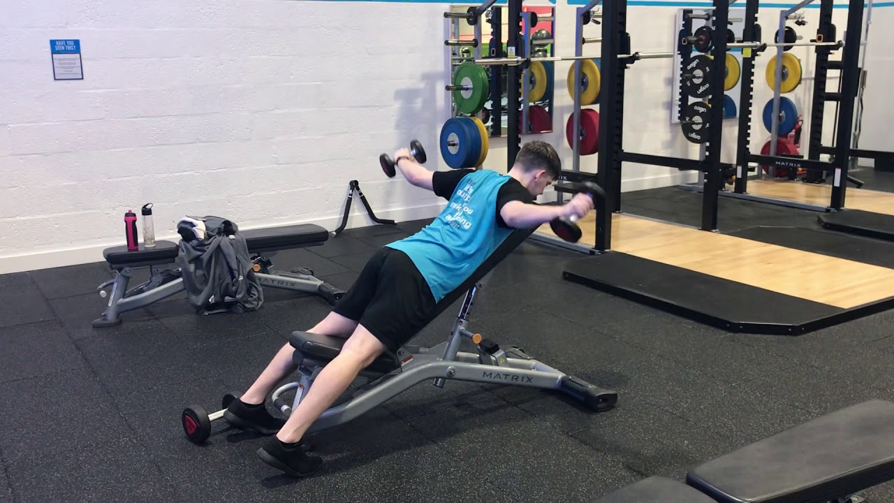 Dumbbell Reverse Flies - YouTube