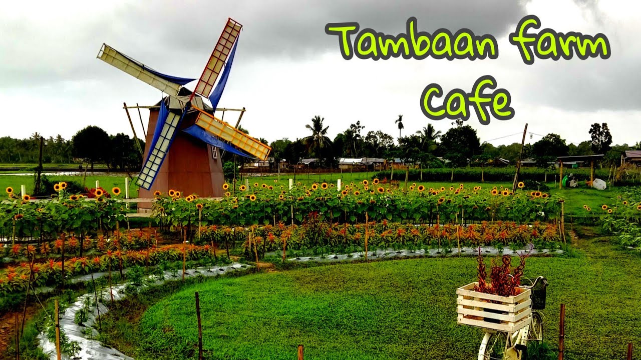 Tambaan farm | hilongos leyte - YouTube