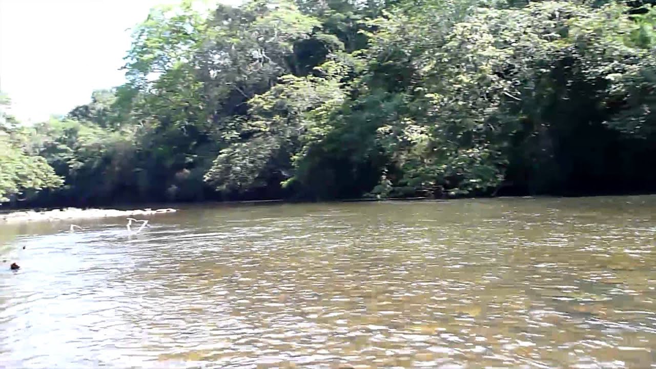 Macal River canoe trip, Belize - YouTube