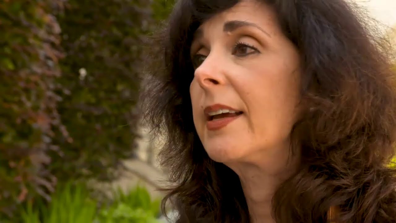 Sharon Katz-Pearlman (US, 2018, Global Disputes Landscape) - YouTube