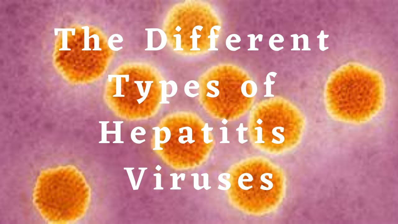 The Different Types Of Hepatitis Viruses - YouTube