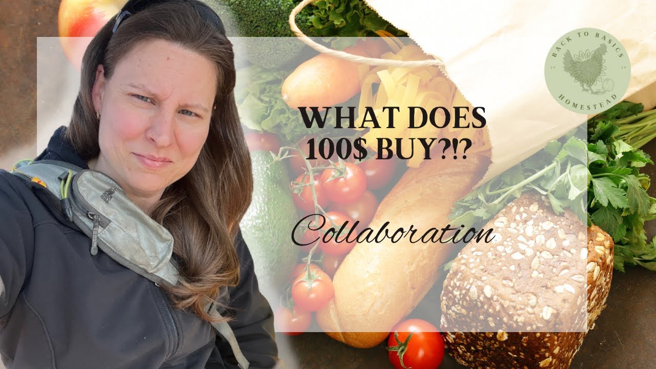 What Does 100$ buy | #whatdoes100buy #groceries #collab #inflation ...