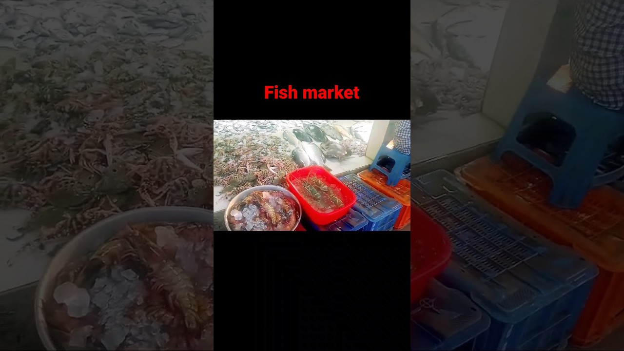 Shee fish market - YouTube