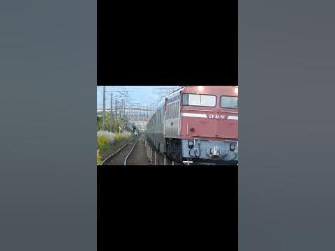 『EF81-81＋E26系客車・寝台特急カシオペア紀行(盛岡行き返却回送)』2023/10/22(JR東北本線) #カシオペア紀行 #カシオペア #寝台特急カシオペア #EF8181 ...