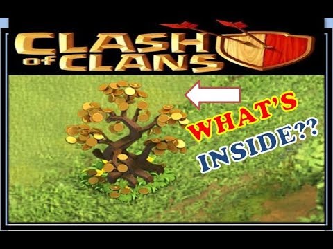 FORTUNE TREE | WHATS INSIDE? | CLASH OF CLANS ( COC ) - YouTube