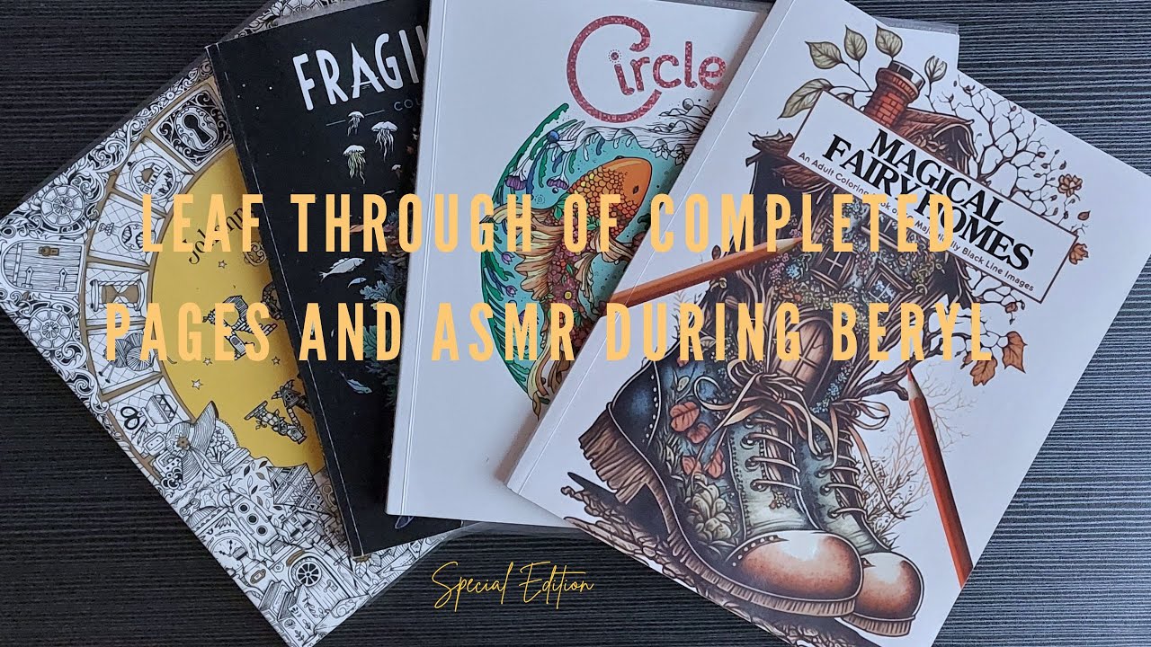 Special Edition | Leaf through of my completed pages and ASMR during ...
