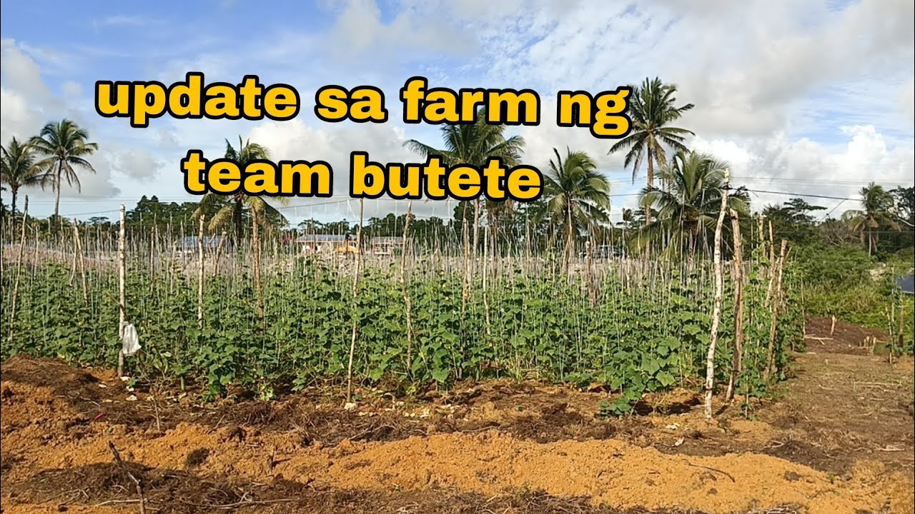 ito na ang farm. ng team butete Ngayon @edisonbuteteofficial5623 - YouTube