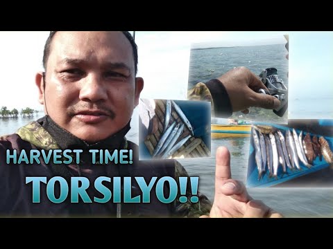 Boat Casting Philippines| Lady Fish Hunting Nauwi sa Torsilyo! Dami ...
