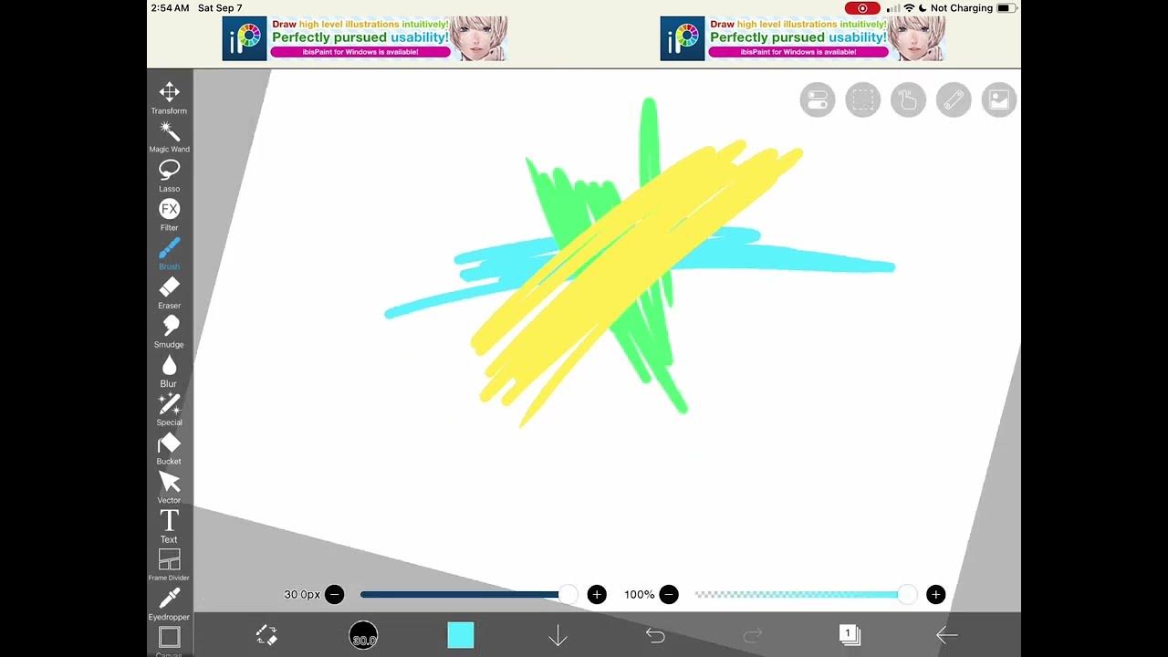 Ibis Paint is broken I can’t color over what I just drew on the same layer?? How do I fix this ...