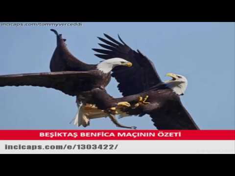 BEŞİKTAŞ-BENFİCA 3-3 CAPSLER