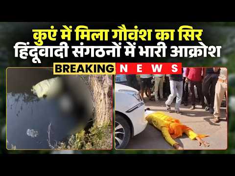 Tikamgarh News: कुएं में गौवंश का सिर मिलने का मामला। बल्देवगढ़ में हिंदूवादी संगठनों ने लगाया जाम