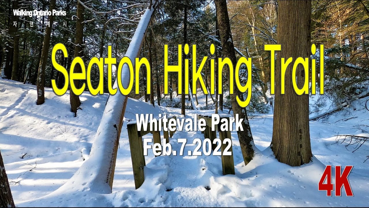 [4K] Seaton Hiking Trail, Whitevale Park, #3, [2022.02.07] - YouTube