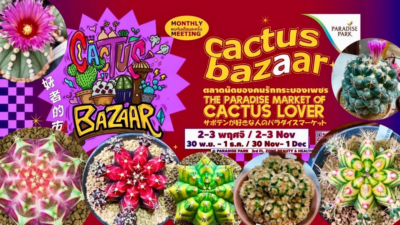 Tour Cactus Fair :🌵 Cactus Bazaar @Paradise Park, Thailand | 02 Nov ...