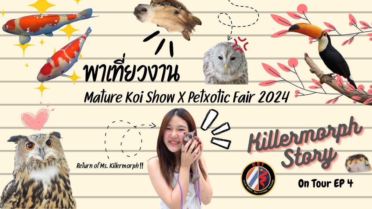 Killermorph On Tour EP 4 - พาเที่ยวงาน Mature Koi Show X Petxotic Fair 2024 - YouTube