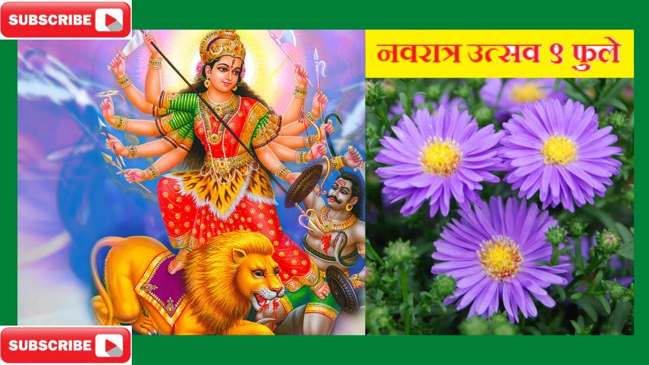 navratri 9 flowers - YouTube