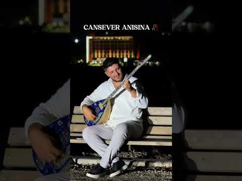 CANSEVER GRANİ - Aliş Ecer