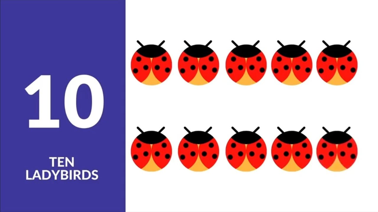 Learn number counting 1 to 10 | counting numbers | kids learn to count ...