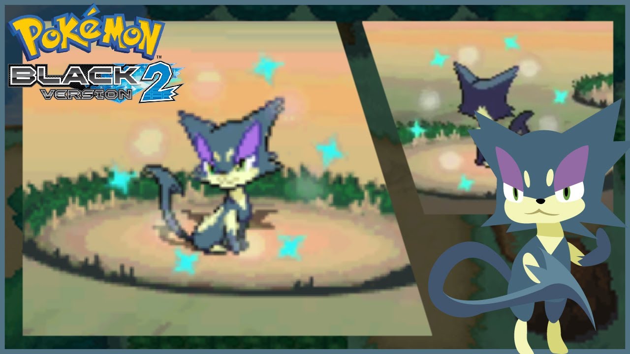 (LIVE) FULL ODDS Shiny Purrloin in Pokemon Black 2 [MAP QUEST] - YouTube