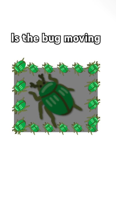 bug moving? - YouTube