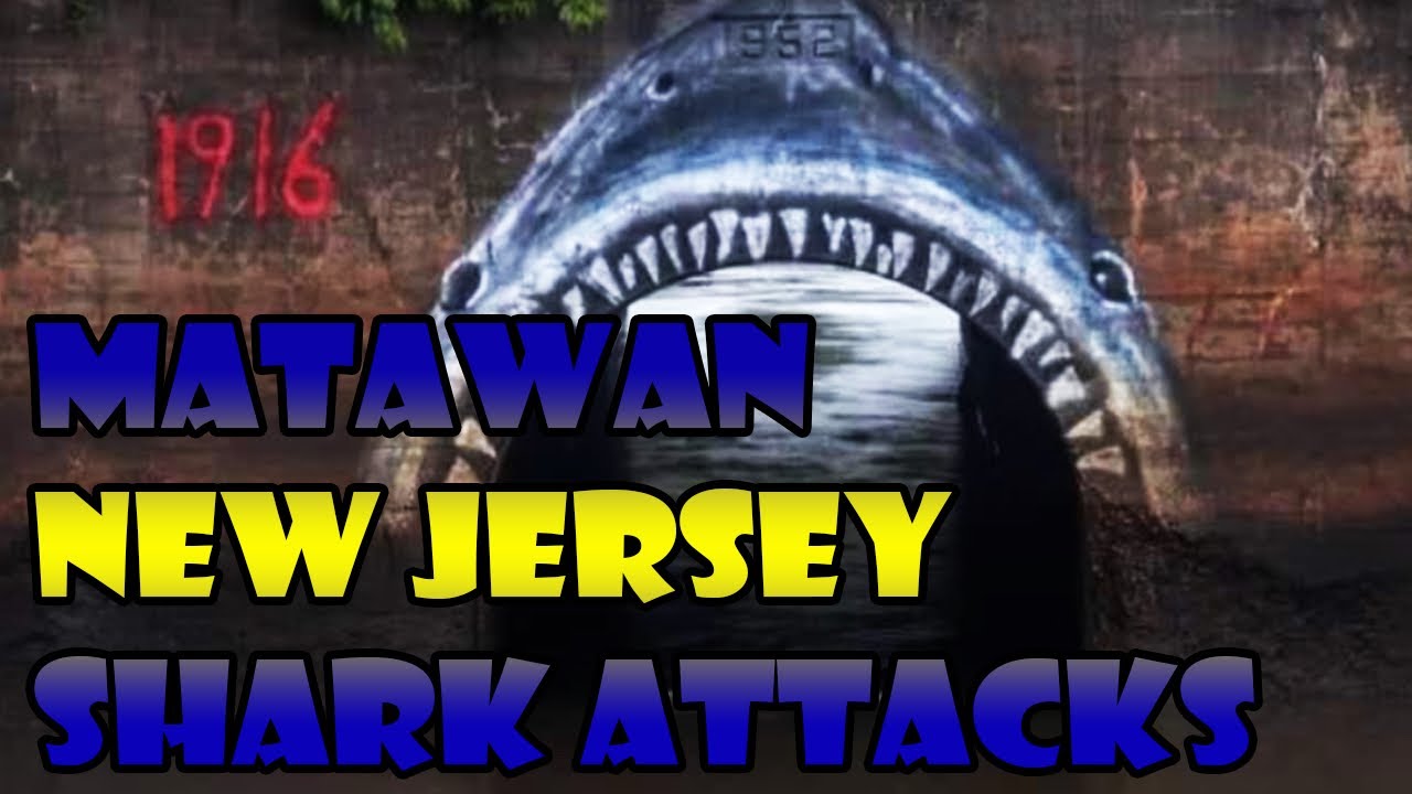 the 1916 matawan shark attacks the inspiration for jaws - YouTube