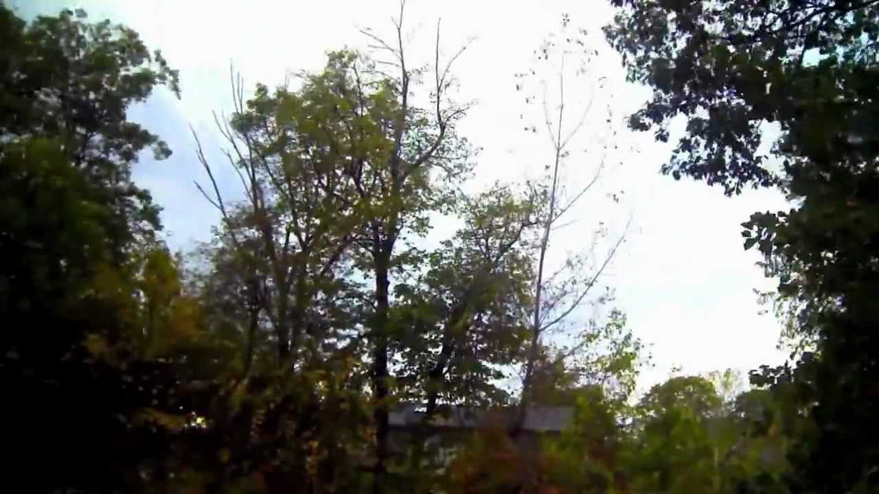 Time-lapse of The Trees and Sky - YouTube