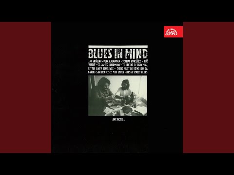 Jan Spálený • Petr Kalandra • Michal Pavlíček • Jiří Veselý – Blues In ...