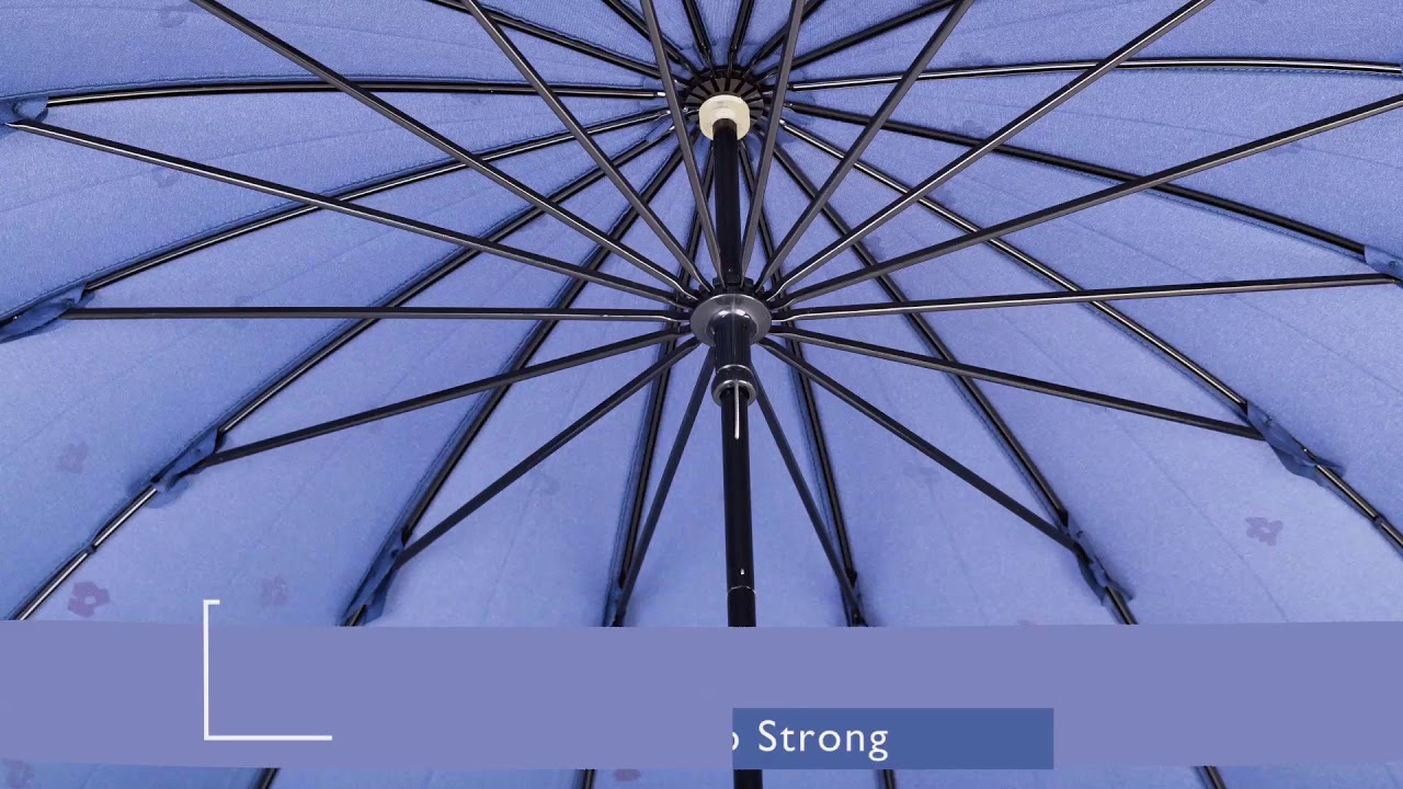 16 Ribs Printed Women's Hand Open Straight Umbrella - YouTube