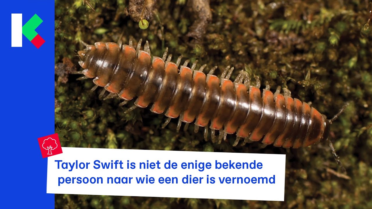 wetenschapper noemt miljoenpoot naar zijn favoriete zangeres - YouTube