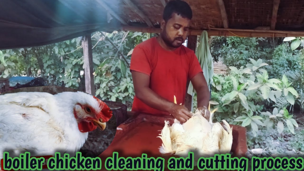 boiler chicken cleaning and cutting process🐔🍗 @kisku chicken shop - YouTube