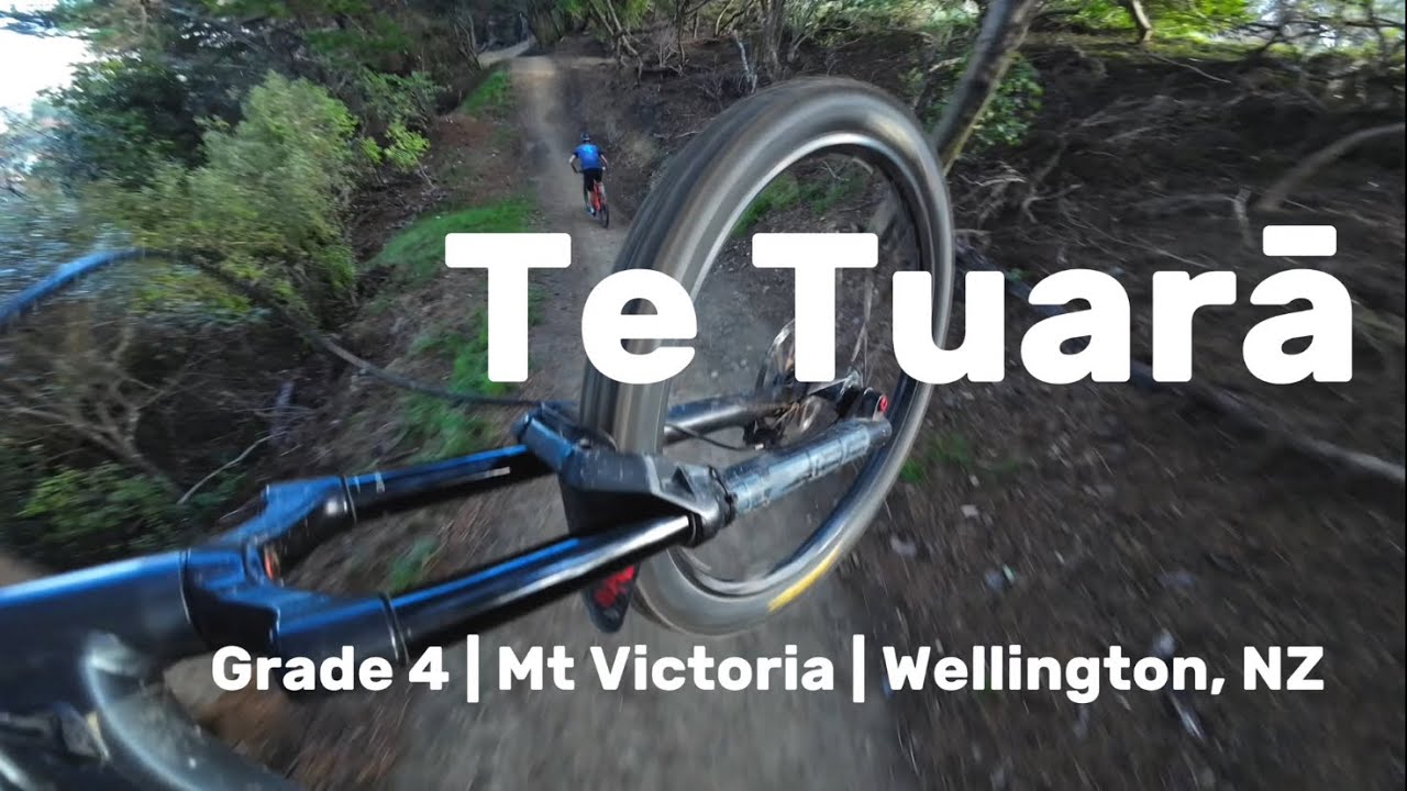 TE TUARA - Grade 4 (Advanced) jumps track at Mt Victoria, Wellington NZ ...