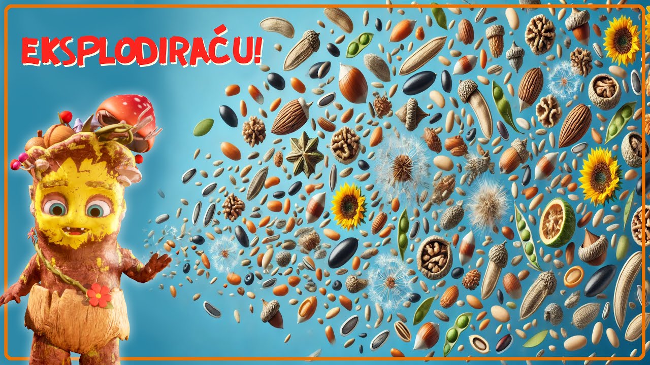 NE DIRAJ, Eksplodiraću! Kako sjemenke putuju | Šumsko Znanje - YouTube